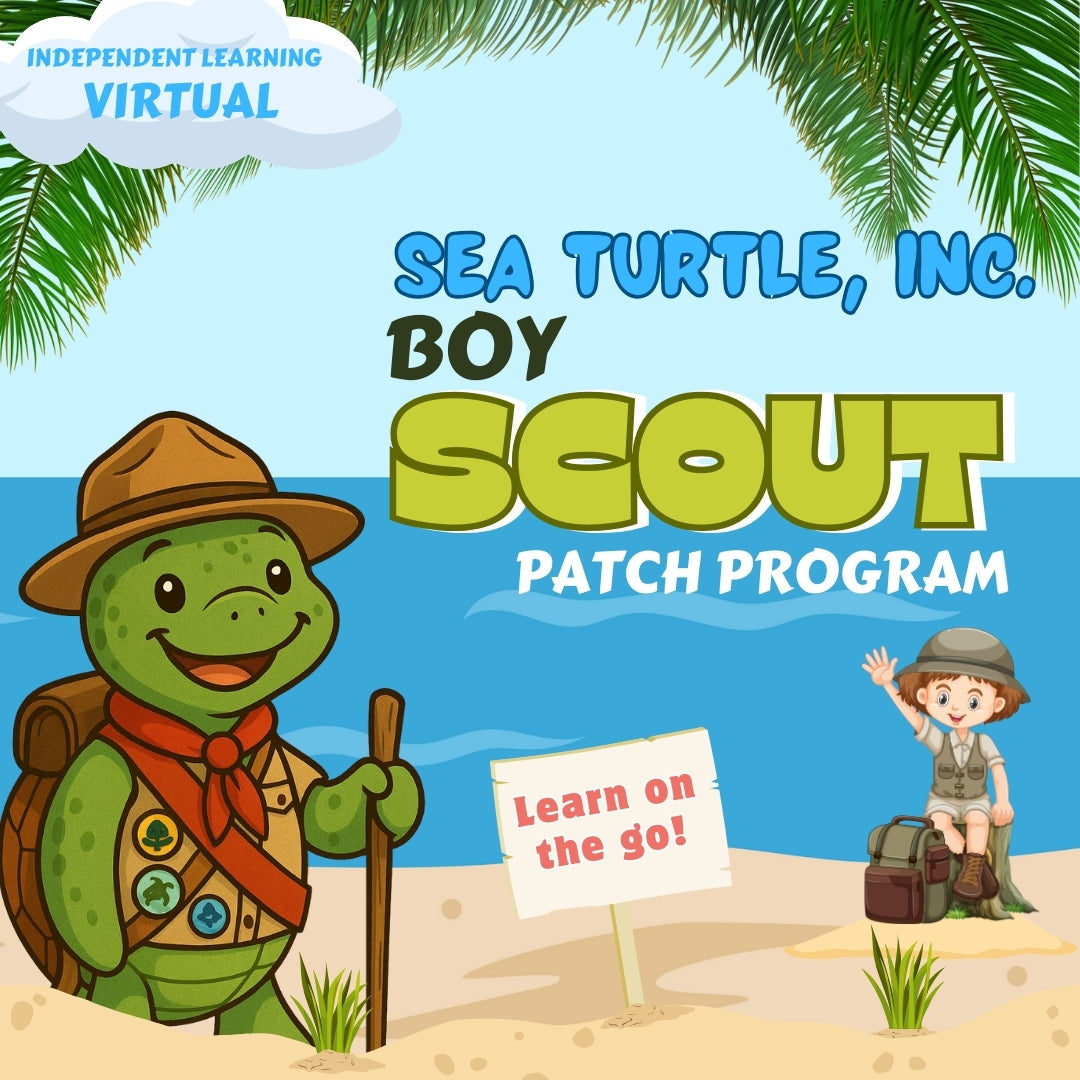 Virtual Sea Turtle Inc Ocean Stewards Girl Scout Patch Program – Sea ...