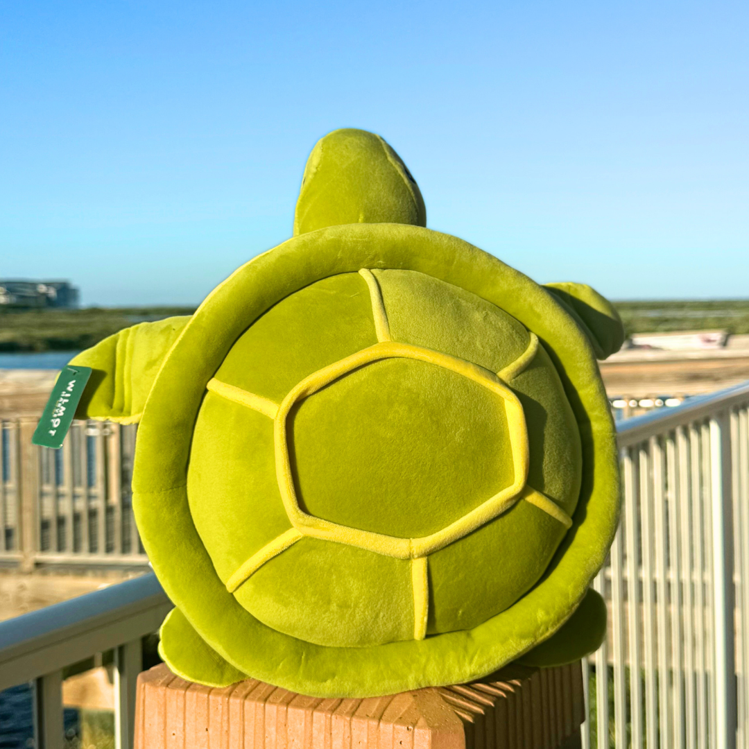 Squishy Kiwi the Sea Turtle – Sea Turtle, Inc.