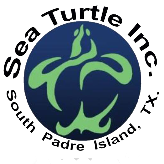 Sea Turtle, Inc.
