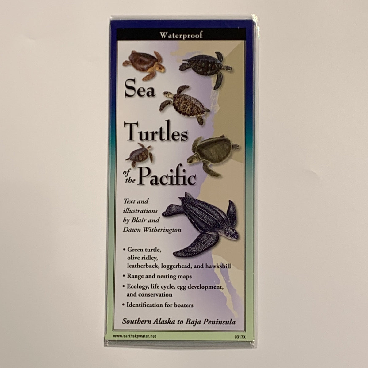 Sea Turtles of the Pacific Pamphlet – Sea Turtle, Inc.